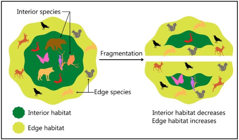 Biodiversity, Habitats & Connectivity in our Community - Nature of Your ...
