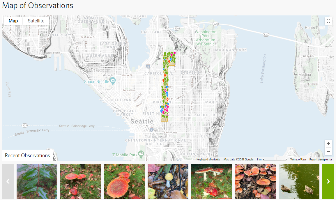 3 Tools for Identifying Nature in Your Neighborhood - Nature of Your ...